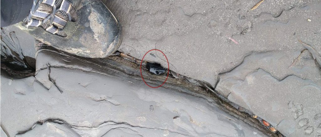 How to find your own piece of Whitby jet and polish it